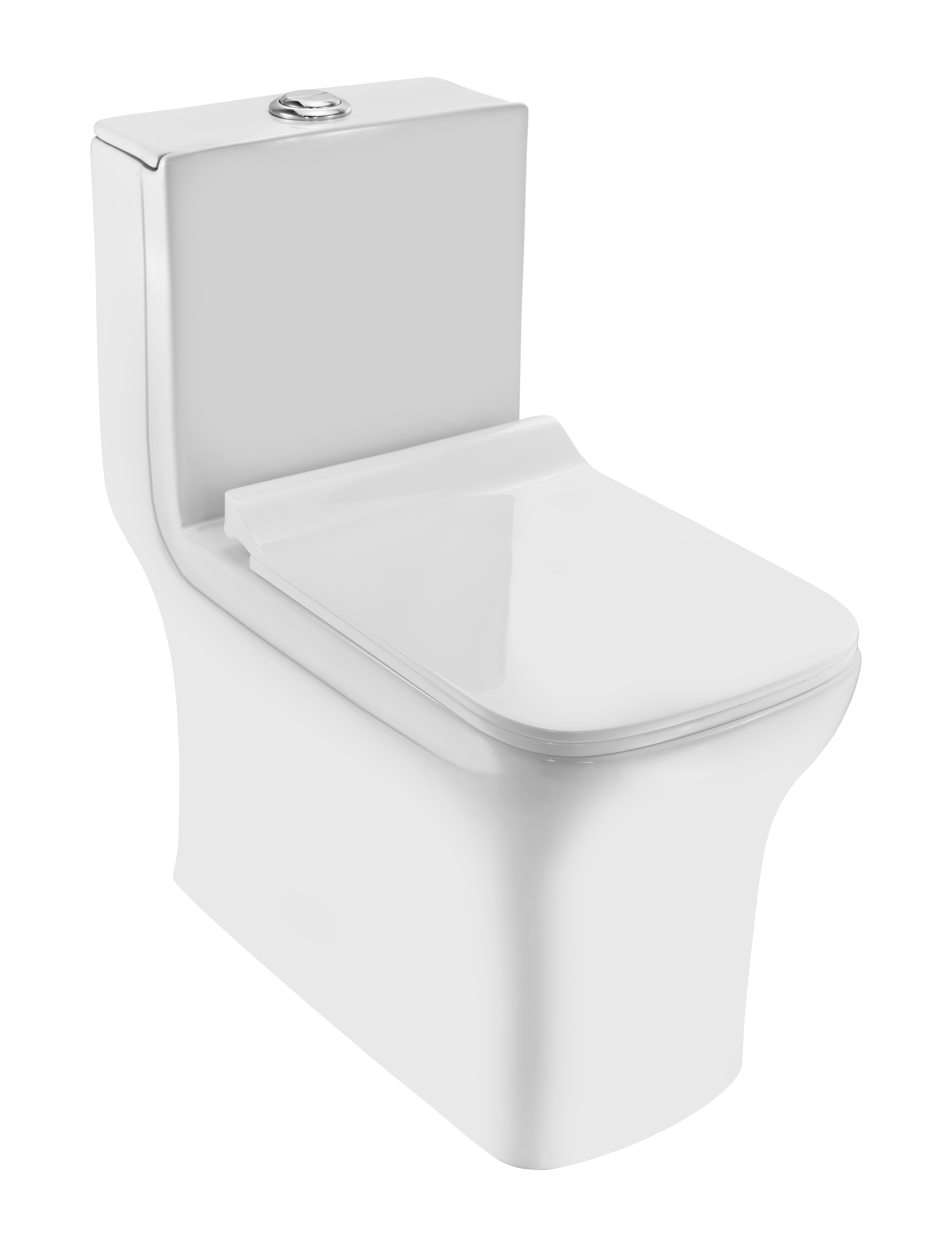 Rimless Single Piece WC