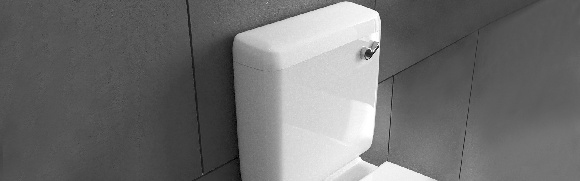 Cistern: Concealed & Toilet Cistern Tank | Essco Bathware